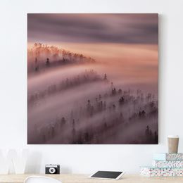 Bilderwelten Leinwandbild Wald Motiv Kunstdruck beige - Nebelflut - B&auml;ume XXL Wohnzimmer Schlafzimmer