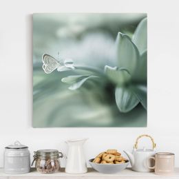 Bilderwelten Leinwandbild Blumen Tropisch Kunstdruck pastell - Schmetterling und Tautropfen in Pastellgr&uuml;n - Gr&auml;ser XXL Wohnzimmer Schlafzimmer