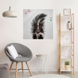 Bilderwelten Glasbild Tiere Motiv schwarz weiss Glas Wandbild - Stinktier Stuart - Deko Kinderzimmer Baby M&auml;dchen Jungen