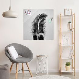 Bilderwelten Glasbild Tiere Motiv schwarz weiss Glas Wandbild - Stinktier Stuart Schwarz Wei&szlig; - Deko Kinderzimmer Baby M&auml;dchen Jungen