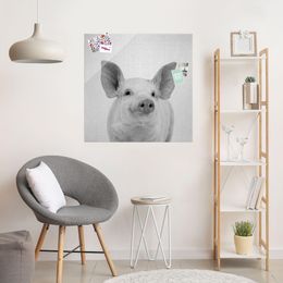 Bilderwelten Glasbild Tiere Motiv schwarz weiss Glas Wandbild - Schwein Schorsch Schwarz Wei&szlig; - Deko Kinderzimmer Baby M&auml;dchen Jungen