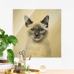 Bilderwelten Glasbild Tiere Motiv schwarz weiss Glas Wandbild - Siamkatze Sibylle Schwarz Wei&szlig; - Katze Kinderzimmer Baby M&auml;dchen Jungen