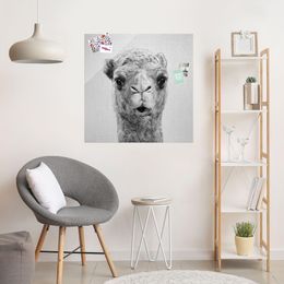 Bilderwelten Glasbild Tiere Motiv schwarz weiss Glas Wandbild - Kamel Konrad Schwarz Wei&szlig; - Deko Kinderzimmer Baby M&auml;dchen Jungen