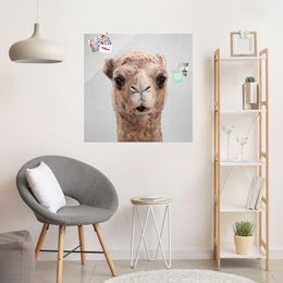 Bilderwelten Glasbild Tiere Motiv schwarz weiss Glas Wandbild - Kamel Konrad - Deko Kinderzimmer Baby M&auml;dchen Jungen