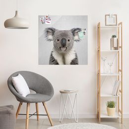 Bilderwelten Glasbild Tiere Motiv schwarz weiss Glas Wandbild - Koala Klaus - Koala Kinderzimmer Baby M&auml;dchen Jungen