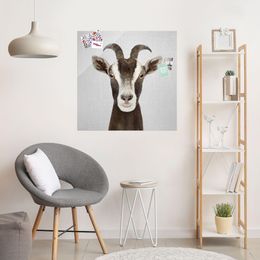 Bilderwelten Glasbild Tiere Motiv schwarz weiss Glas Wandbild - Ziege Zora - Deko Kinderzimmer Baby M&auml;dchen Jungen