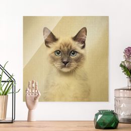 Bilderwelten Glasbild Tiere Motiv schwarz weiss Glas Wandbild - Siamkatze Sibylle - Katze Kinderzimmer Baby M&auml;dchen Jungen