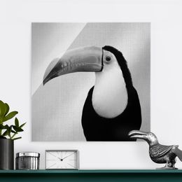 Bilderwelten Glasbild Tiere Motiv schwarz weiss Glas Wandbild - Tukan Torben Schwarz Wei&szlig; - V&ouml;gel Kinderzimmer Baby M&auml;dchen Jungen