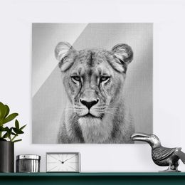 Bilderwelten Glasbild Tiere Motiv schwarz weiss Glas Wandbild - L&ouml;win Lisa Schwarz Wei&szlig; - L&ouml;we Kinderzimmer Baby M&auml;dchen Jungen