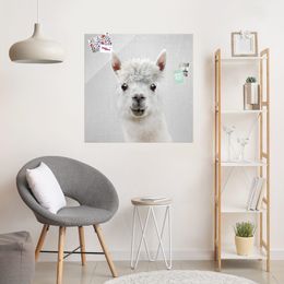 Bilderwelten Glasbild Tiere Motiv schwarz weiss Glas Wandbild - Lama Lars - Deko Kinderzimmer Baby M&auml;dchen Jungen