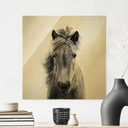 Bilderwelten Glasbild Tiere Motiv schwarz weiss Glas Wandbild - Pferd Pauline Schwarz Wei&szlig; - Pferde Kinderzimmer Baby M&auml;dchen Jungen