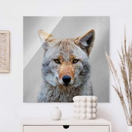 Bilderwelten Glasbild Tiere Motiv schwarz weiss Glas Wandbild - Kojote Kalle - Deko Kinderzimmer Baby M&auml;dchen Jungen