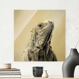 Bilderwelten Glasbild Tiere Motiv schwarz weiss Glas Wandbild - Leguan Louis Schwarz Wei&szlig; - Deko Kinderzimmer Baby M&auml;dchen Jungen