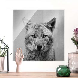 Bilderwelten Glasbild Tiere Motiv schwarz weiss Glas Wandbild - Kojote Kalle Schwarz Wei&szlig; - Deko Kinderzimmer Baby M&auml;dchen Jungen