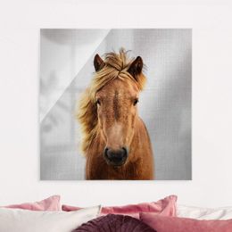 Bilderwelten Glasbild Tiere Motiv schwarz weiss Glas Wandbild - Pferd Pauline - Pferde Kinderzimmer Baby M&auml;dchen Jungen