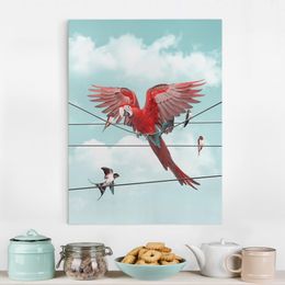 Bilderwelten Leinwandbild Jonas Loose Pop Art Tiere Himmel mit V&ouml;geln - Leinwanddruck Hochformat - Wandbild S-XXL - moderne Bilder auf Leinwand Flur Wohnzimmer