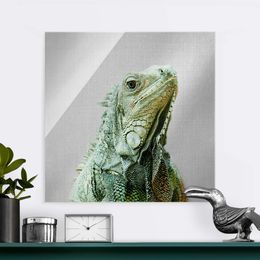 Bilderwelten Glasbild Tiere Motiv schwarz weiss Glas Wandbild - Leguan Louis - Deko Kinderzimmer Baby M&auml;dchen Jungen