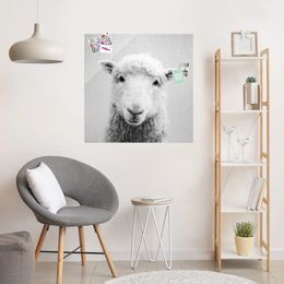 Bilderwelten Glasbild Tiere Motiv schwarz weiss Glas Wandbild - Schaf Steffi Schwarz Wei&szlig; - Deko Kinderzimmer Baby M&auml;dchen Jungen