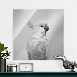Bilderwelten Glasbild Tiere Motiv schwarz weiss Glas Wandbild - Kakadu Kiki Schwarz Wei&szlig; - V&ouml;gel Kinderzimmer Baby M&auml;dchen Jungen