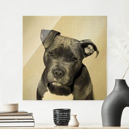 Bilderwelten Glasbild Tiere Motiv schwarz weiss Glas Wandbild - Pitbull Pelle Schwarz Wei&szlig; - Hund Kinderzimmer Baby M&auml;dchen Jungen
