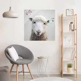 Bilderwelten Glasbild Tiere Motiv schwarz weiss Glas Wandbild - Schaf Steffi - Deko Kinderzimmer Baby M&auml;dchen Jungen