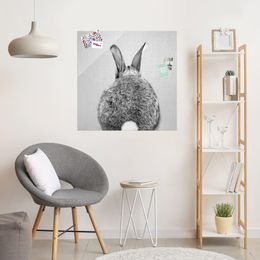 Bilderwelten Glasbild Tiere Motiv schwarz weiss Glas Wandbild - Hase von hinten Schwarz Wei&szlig; - Deko Kinderzimmer Baby M&auml;dchen Jungen
