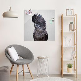 Bilderwelten Glasbild Tiere Motiv schwarz weiss Glas Wandbild - Kakadu Kanye - V&ouml;gel Kinderzimmer Baby M&auml;dchen Jungen