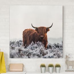 Bilderwelten Leinwandbild Tiere Motiv Kunstdruck weiss - Bison in den Highlands - Wandbild XXL Wohnzimmer Schlafzimmer