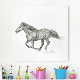 Bilderwelten Leinwandbild Tiere Illustration Kunstdruck weiss - Wildpferd-Studie - Stute - Pferde XXL Wohnzimmer Schlafzimmer