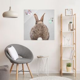 Bilderwelten Glasbild Tiere Motiv schwarz weiss Glas Wandbild - Hase von hinten - Deko Kinderzimmer Baby M&auml;dchen Jungen