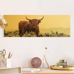 Bilderwelten Leinwandbild - Panorama Bison in den Highlands
