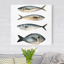 Bilderwelten Leinwandbild Tiere modern Aquarell blau - Vier Fische in Aquarell I - Pflanzen XXL Wohnzimmer Schlafzimmer