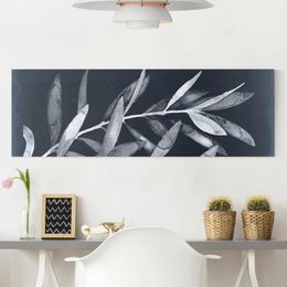 Bilderwelten Leinwandbild - Panorama Verzweigung auf Denim II
