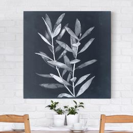Bilderwelten Leinwandbild - Quadrat Verzweigung auf Denim II