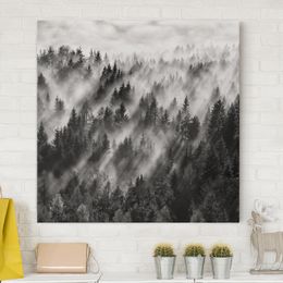 Bilderwelten Leinwandbild Wald Motiv Kunstdruck schwarz weiss - Lichtstrahlen im Nadelwald - B&auml;ume XXL Wohnzimmer Schlafzimmer