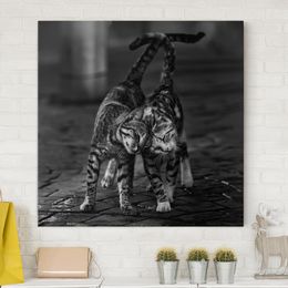 Bilderwelten Leinwandbild Tiere Motiv Kunstdruck schwarz weiss - K&auml;tzchenfreundschaft - Katze XXL Wohnzimmer Schlafzimmer