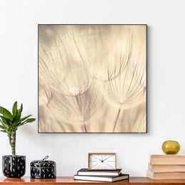 Wechselbild Pusteblumen Nahaufnahme in wohnlicher Sepia T&ouml;nung