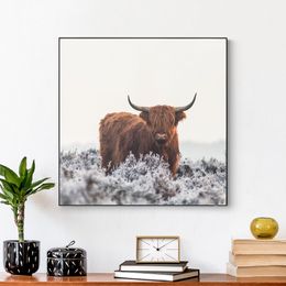 Wechselbild Bison in den Highlands