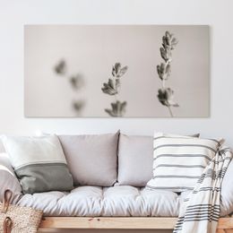 Bilderwelten Leinwandbild Lavendel Studie