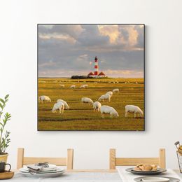Wechselbild Nordsee Leuchtturm mit Schafsherde