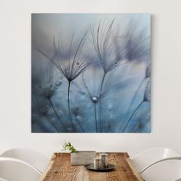 Bilderwelten Leinwandbild Blumen Motiv Kunstdruck blau - Blaue Federn im Regen - Wandbild XXL Wohnzimmer Schlafzimmer
