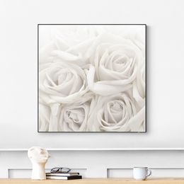 Wechselbild Wei&szlig;e Rosen