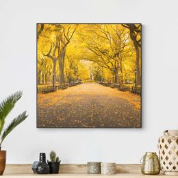 Wechselbild Herbst im Central Park