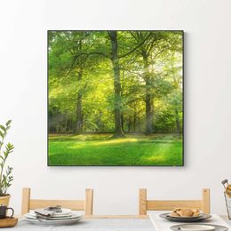 Wechselbild Spaziergang im Wald