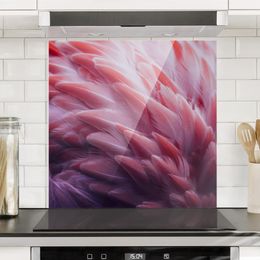 Bilderwelten Glas Spritzschutz Tropisch pink Tiere - Flamingofedern Close-up - Feder K&uuml;chenr&uuml;ckwand aus Glas