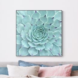 Wechselbild Kaktus Agave