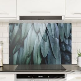 Bilderwelten Glas Spritzschutz Motiv petrol Federn - Federn in Aquamarin - Feder K&uuml;chenr&uuml;ckwand aus Glas