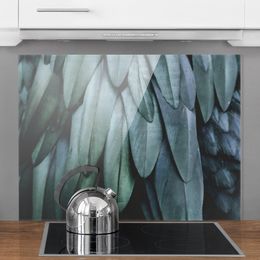 Bilderwelten Glas Spritzschutz Motiv petrol Federn - Federn in Aquamarin - Feder K&uuml;chenr&uuml;ckwand aus Glas