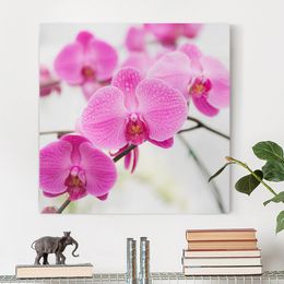 Bilderwelten Leinwandbild Blumen Motiv Kunstdruck pink - Nahaufnahme Orchidee - Orchidee XXL Wohnzimmer Schlafzimmer