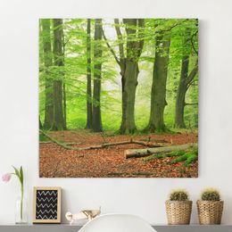 Bilderwelten Leinwandbild Wald Motiv 3D-Effekt gr&uuml;n - Mighty Beech Trees - B&auml;ume XXL Wohnzimmer Schlafzimmer